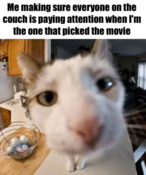 watching movie meme - Chameleon Memes