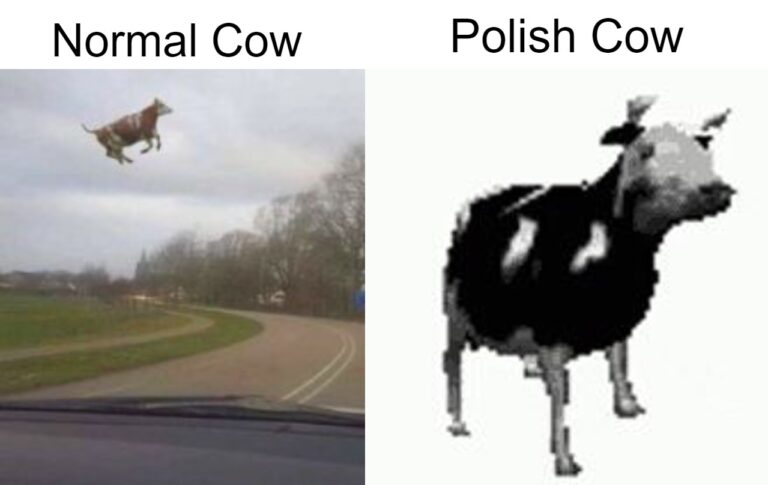 Yes, Normal Cow Can Fly! - Animals