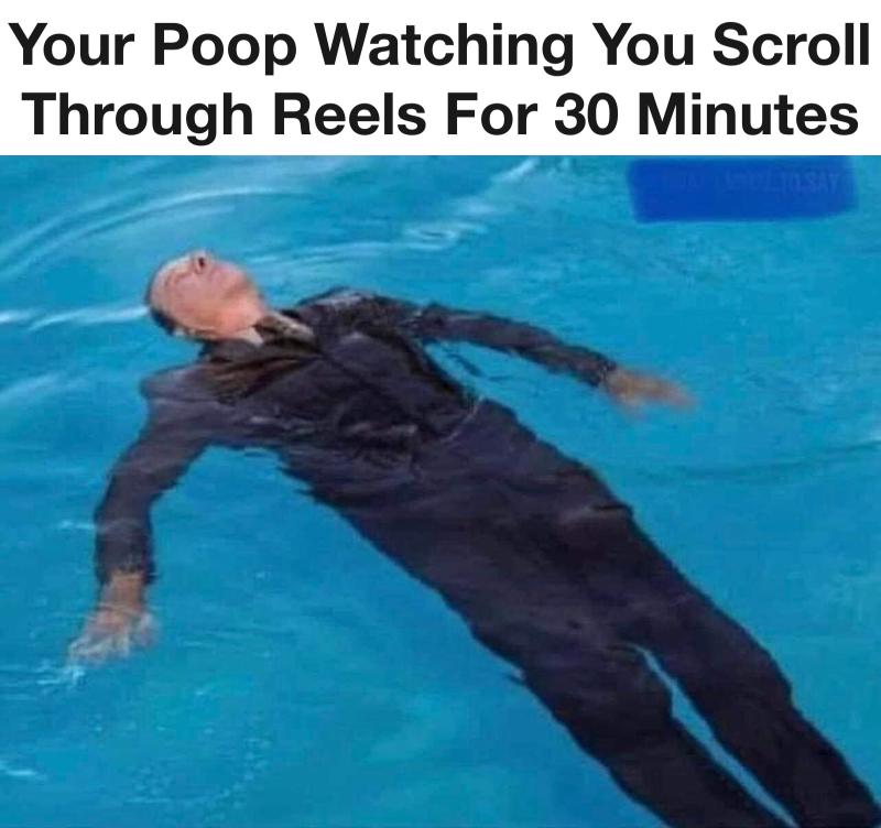 Poop meme - Chameleon Memes