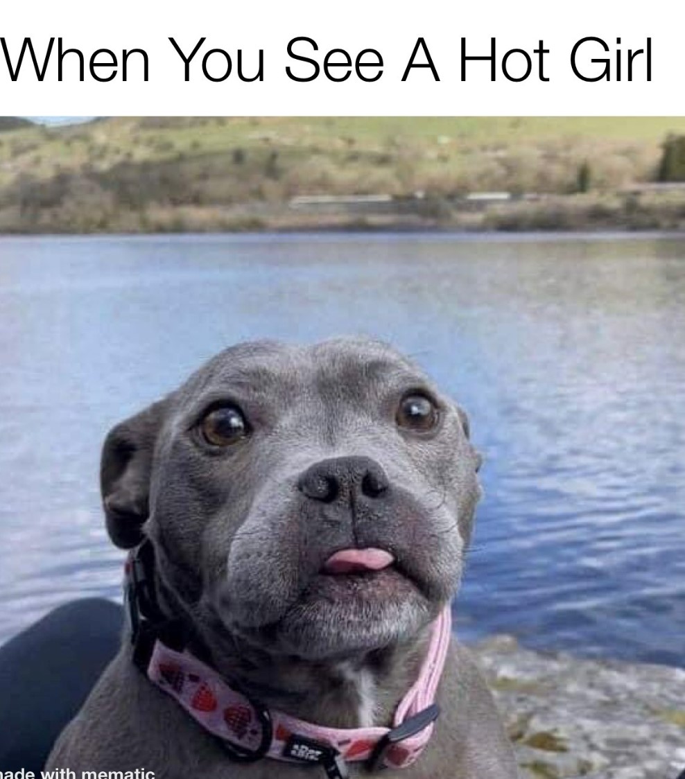 shocked meme - Chameleon Memes