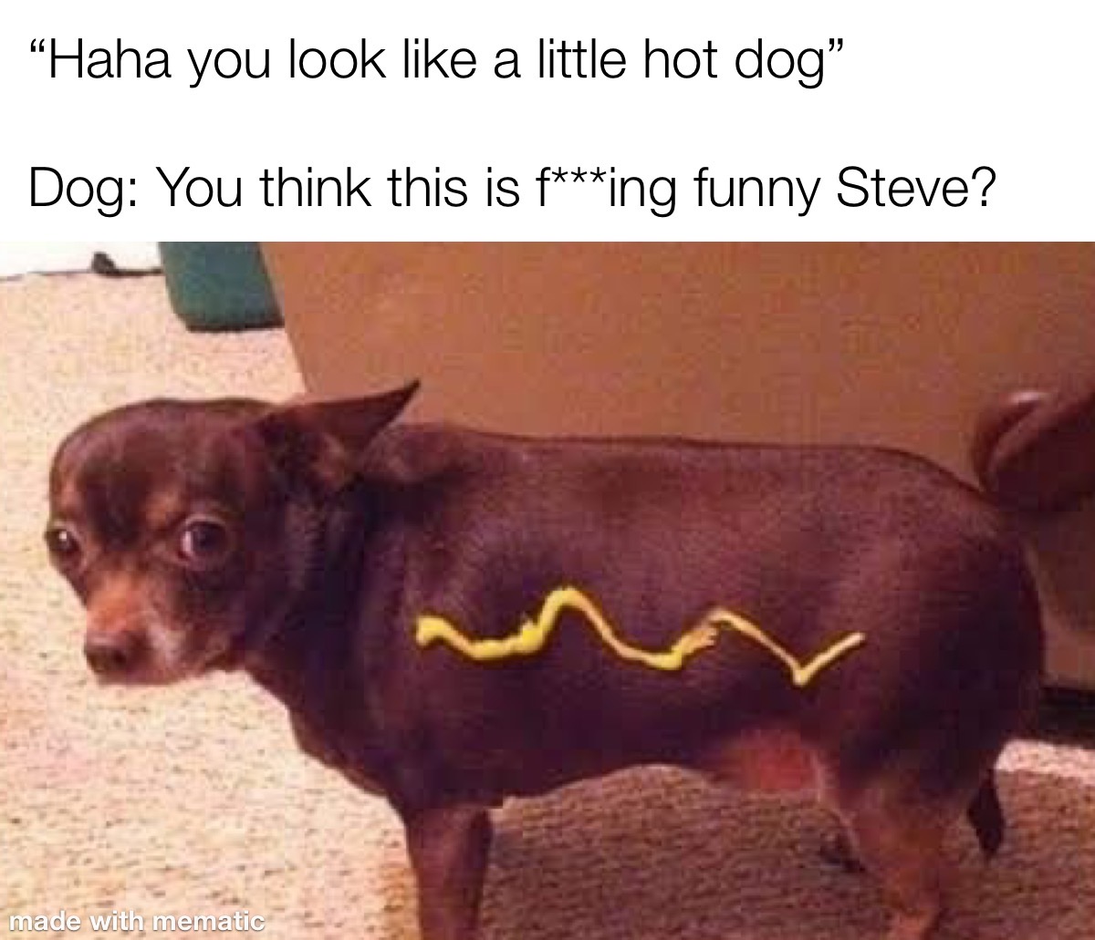 hot dog memes - Chameleon Memes