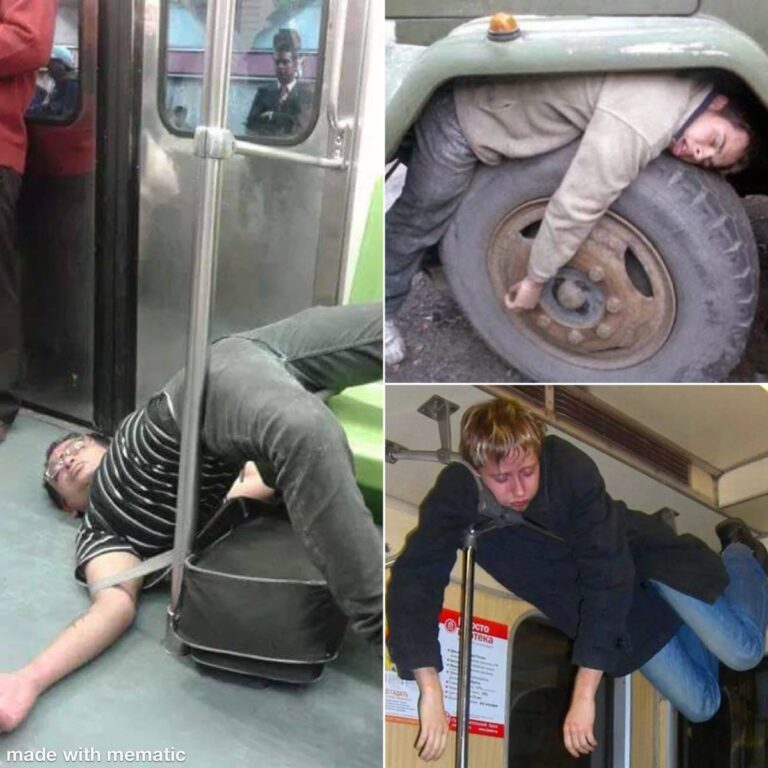 sleeping - Chameleon Memes