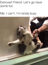 25 Introvert vs Extrovert Memes That Are Extremely Relatable
