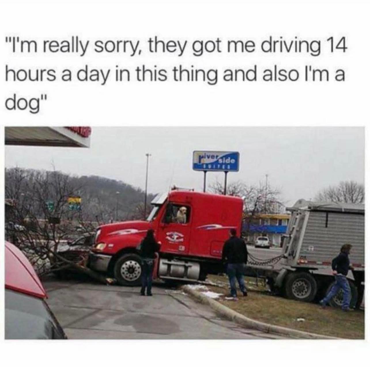 truck crash meme - Chameleon Memes
