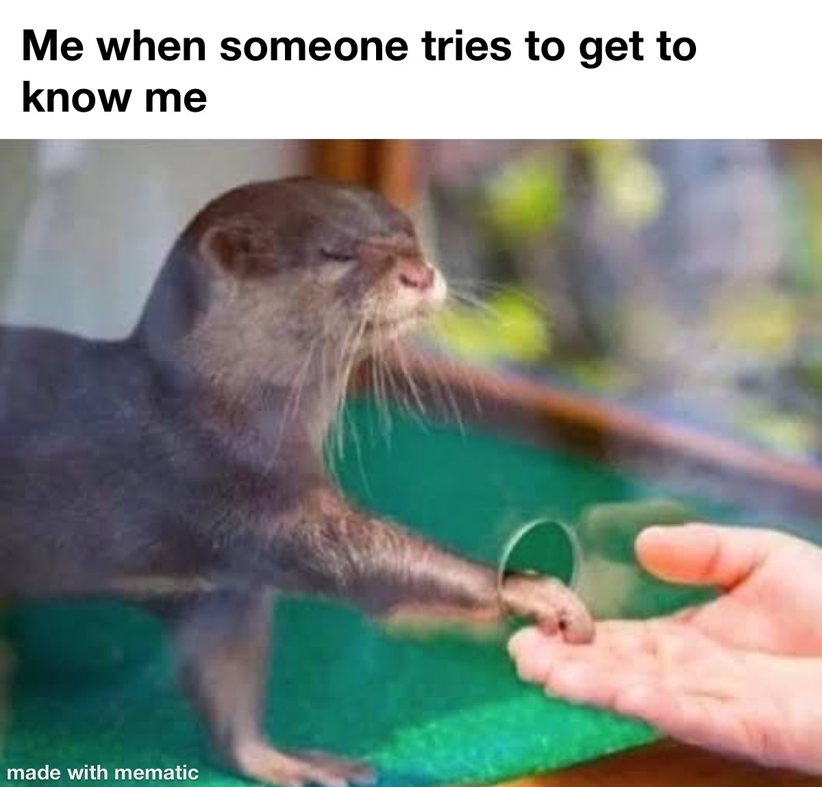 introvert memes - Chameleon Memes