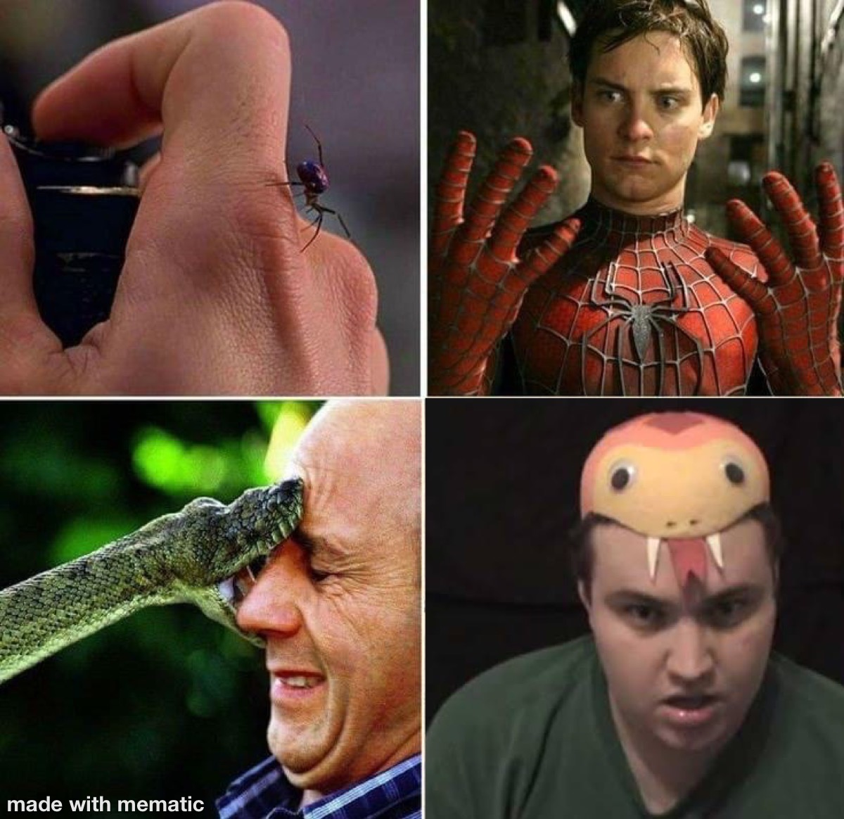 spider bite meme - Chameleon Memes