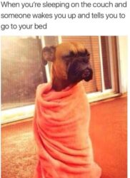 40 Hilarious Sleeping Memes That Everyone Will Relate To - Epic Fails