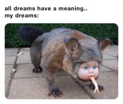 40 Funny Dream Memes That Proves Imagination Has No Limits - Funny