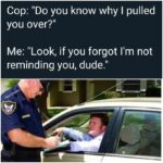 Pulled Over By Police: 40 Memes That'll Get You Arrested For Laughing ...