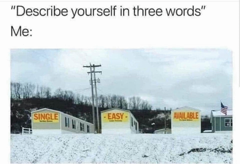 35 Funny Single Memes For Those Who Want To Mingle - Funny