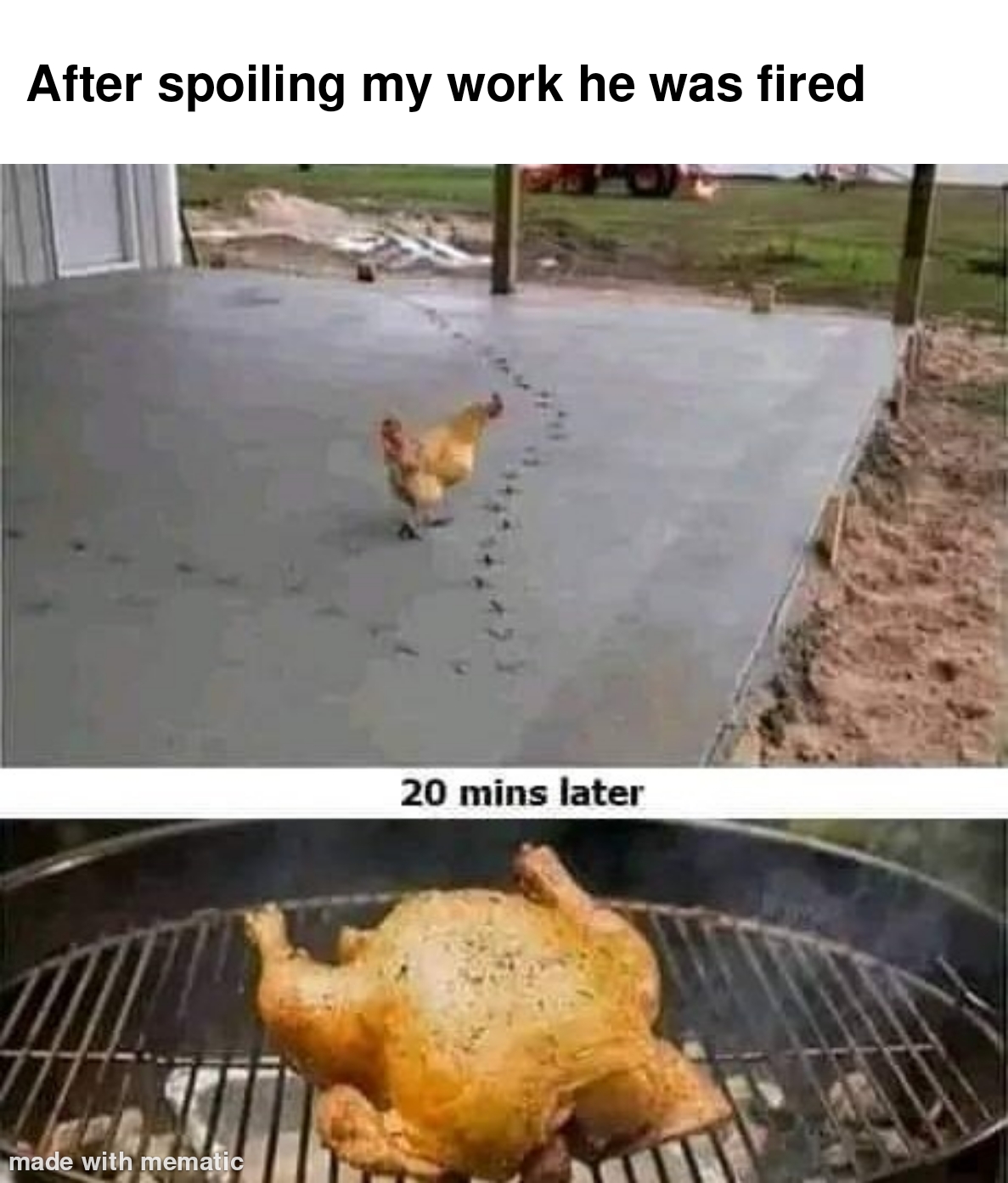 chicken memes - Chameleon Memes
