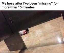 50 Boss Memes: The Funniest Way To Procrastinate At Work
