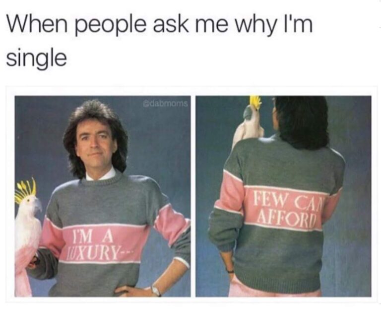 35 Funny Single Memes For Those Who Want To Mingle - Funny