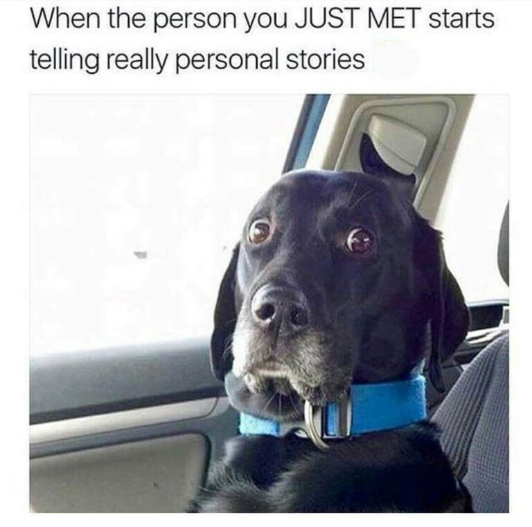 40 Funny Awkward Memes That'll Make You Feel Better About Your Awkward ...