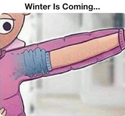 40 Winter Memes That'll Make You Go Into Hibernation - Funny