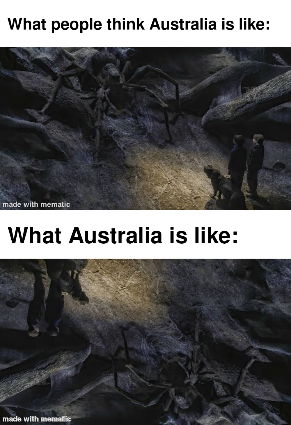 Australia Be Like… - Animals