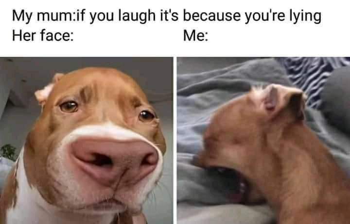 controlling laughter meme - Chameleon Memes