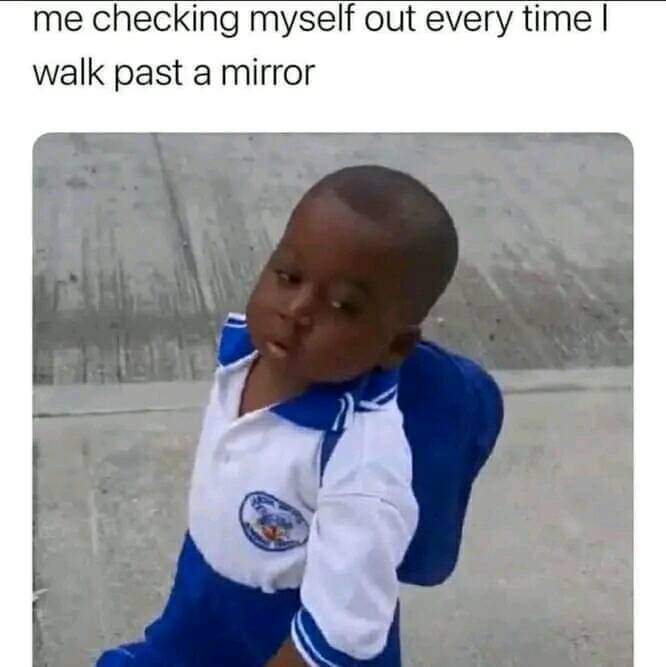 mirror memes - Chameleon Memes