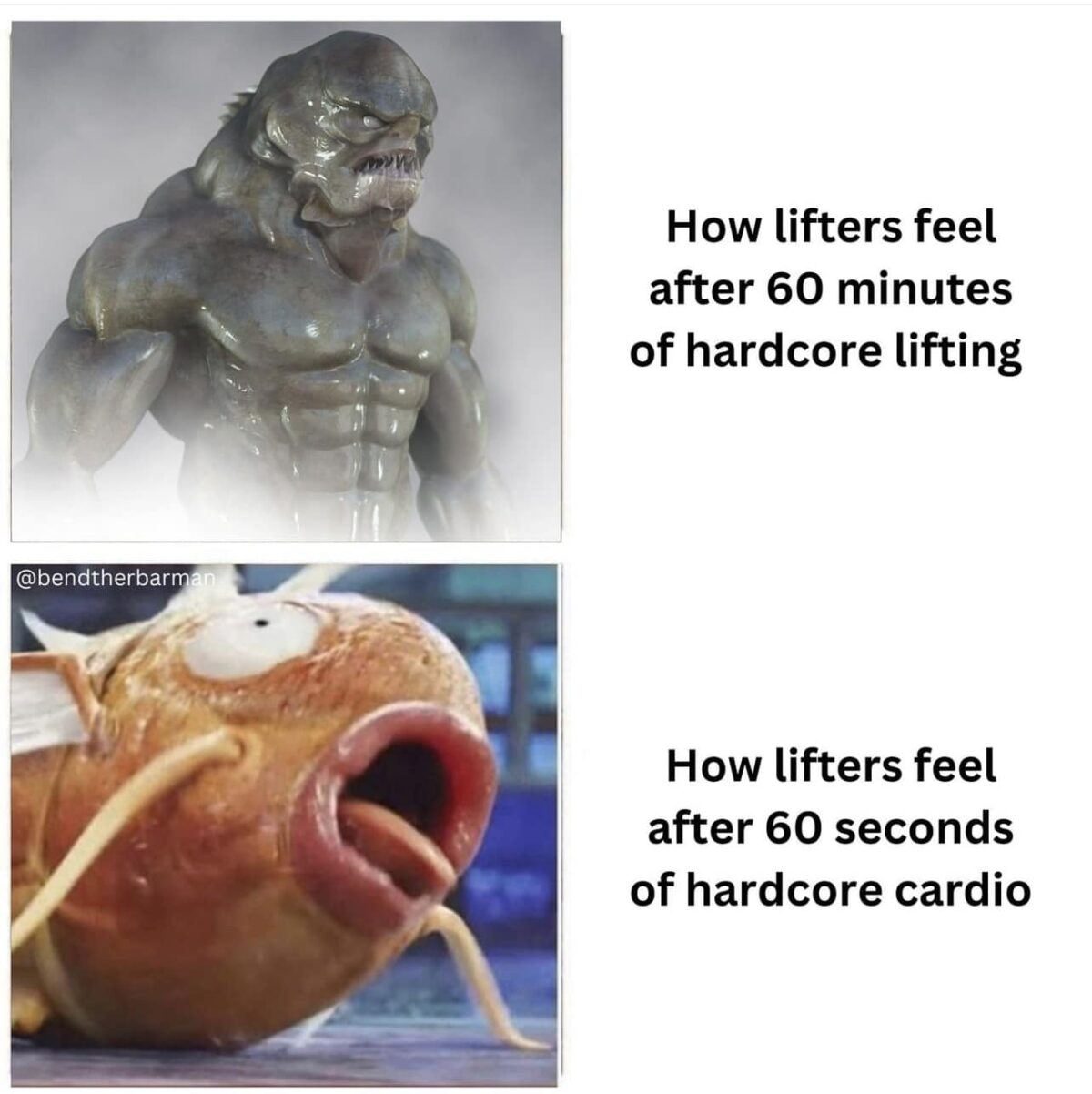 30 Gym Memes That Will Make You Laugh Until You're Sore - Funny