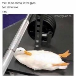 30 Gym Memes That Will Make You Laugh Until You're Sore - Funny
