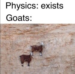 40 Funniest Physics Memes That Will Make Even Einstein Chuckle - Funny