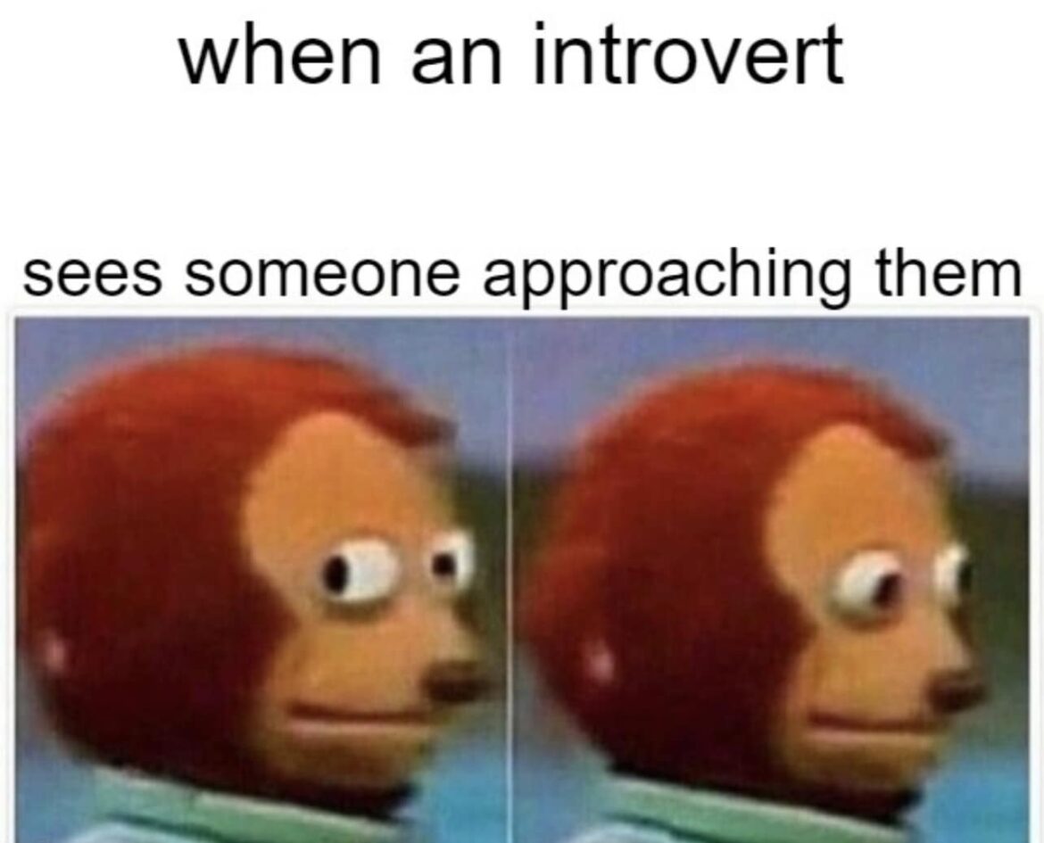 40 Introvert Memes That Celebrate The Quiet Life - Funny