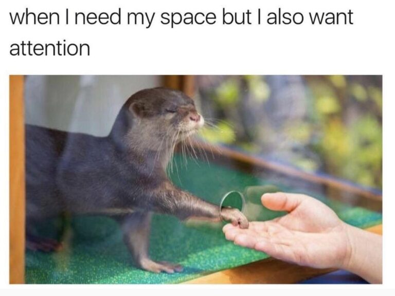 30 Wednesday Memes That Will Give You the Mid-Week Pick-Me-Up You Need ...