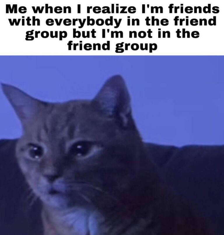 25 Hilarious Crying Cat Memes That Will Have You In Tears…Of Laughter ...