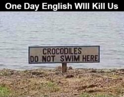 25 English Language Memes to Celebrate English Language Day in Full ...