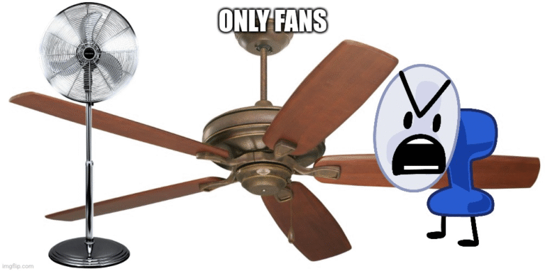 25 Fan Memes That Will Blow You Away With Laughter & Breezy Vibes - Funny