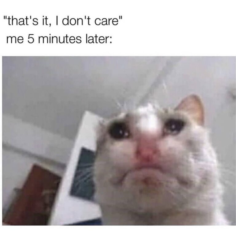25 Hilarious Crying Cat Memes That Will Have You In Tears…Of Laughter ...