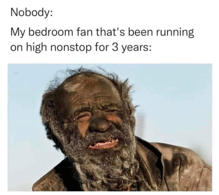 25 Fan Memes That Will Blow You Away With Laughter & Breezy Vibes - Funny