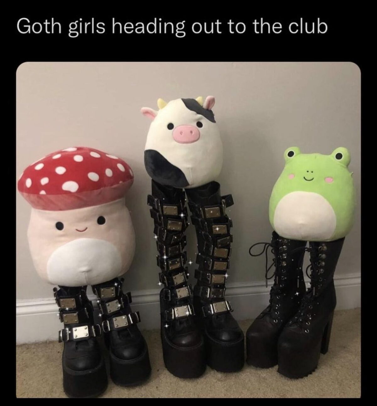 30 Goth Memes That'll Put You Under a Laughter Spell - Funny