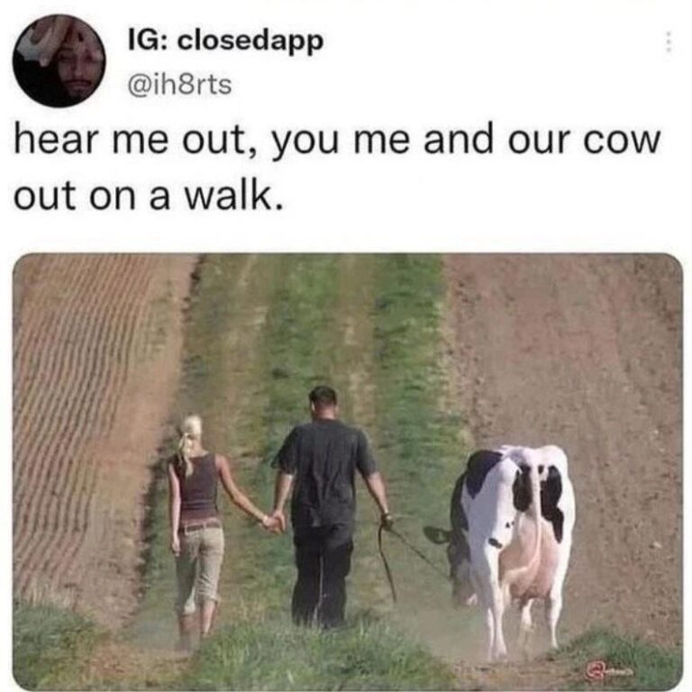 20 Funny Cow Memes That Will Moooove You to Laughter - Animals