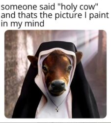 20 Funny Cow Memes That Will Moooove You to Laughter - Animals