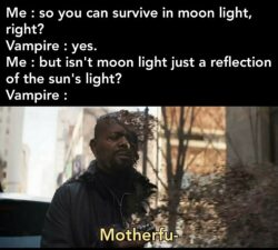 25 Hilarious Moon Memes to Light Up International Moon Day - Jokes