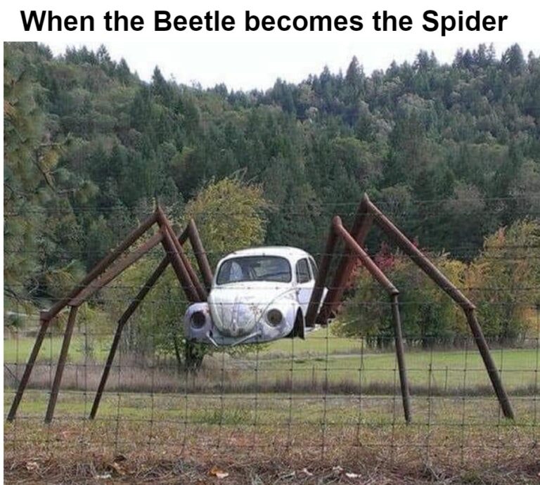 When the Beetle becomes the Spider - Auto Memes