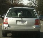 35 Funny License Plates That Will Drive You Insane with Laughter - Auto ...