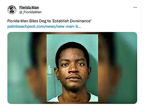 30 Florida Man Escapades That Seemed Too Crazy to Be True - Epic Fails