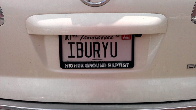 35 Funny License Plates That Will Drive You Insane with Laughter - Auto ...