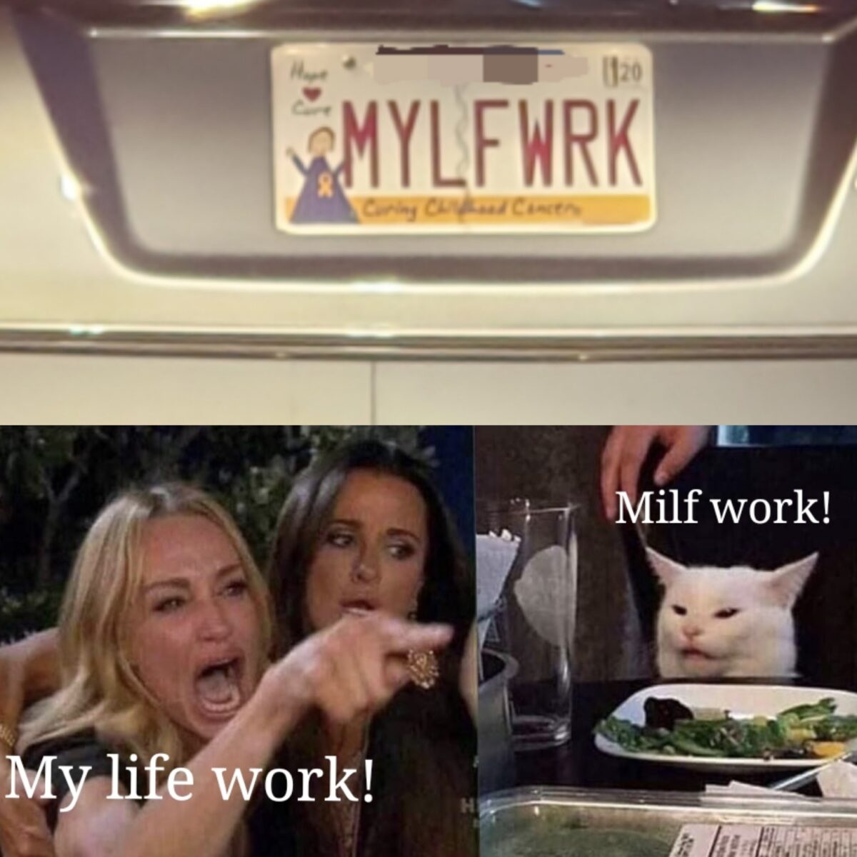 35 Funny License Plates That Will Drive You Insane with Laughter - Auto ...