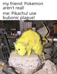 27 Rat Memes That Will Make You Laugh at Their Epic Rat-ventures - Animals