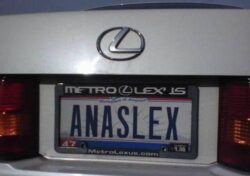 35 Funny License Plates That Will Drive You Insane with Laughter - Auto ...