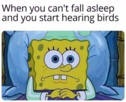 30 Insomnia Memes That Every Insomniac Can Relate To - Epic Fails