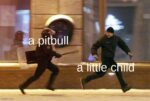 25 Pit Bull Memes for a Dose of Canine Comedy - Animals