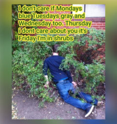 Top 25 Funny Friday Memes To Jump Start Your Weekend - Funny