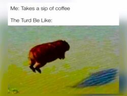 20 Coffee Memes That Every Caffeine Lover Will Relate To - Funny
