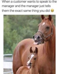 30 Manager Memes to Brighten Your Workday - Funny