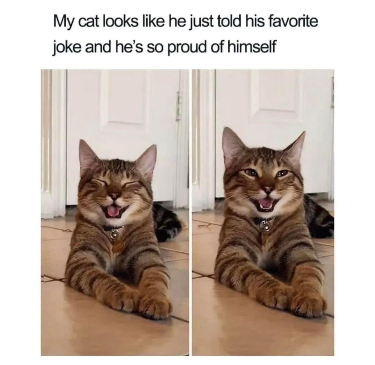 22 Wacky Web Humor Gems - Funny