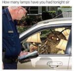 15 Moth Memes That Will Light Up Your Day - Funny